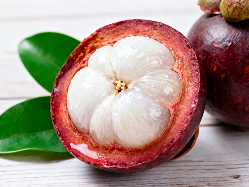 Confronting Mangosteen Gumming Disease - Trelfey